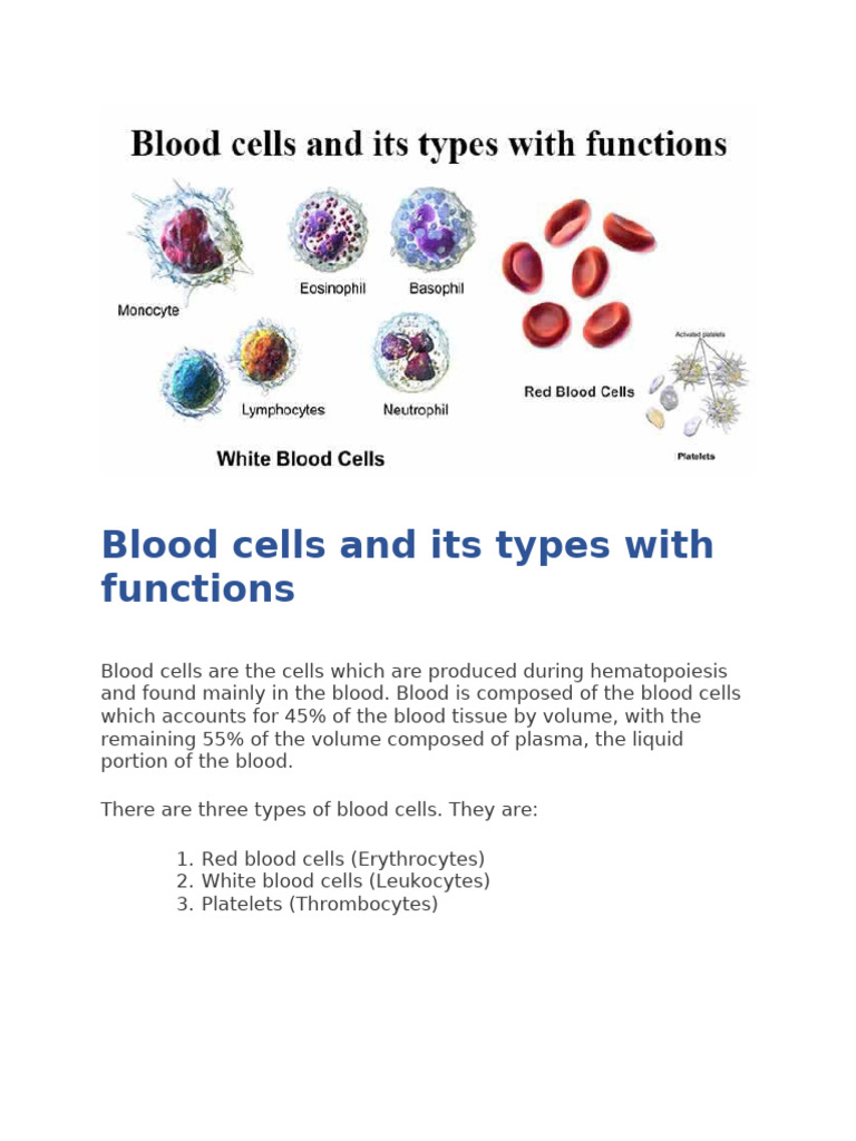 Types and Functions of Blood Cells | PDF | Granulocyte | White Blood Cell
