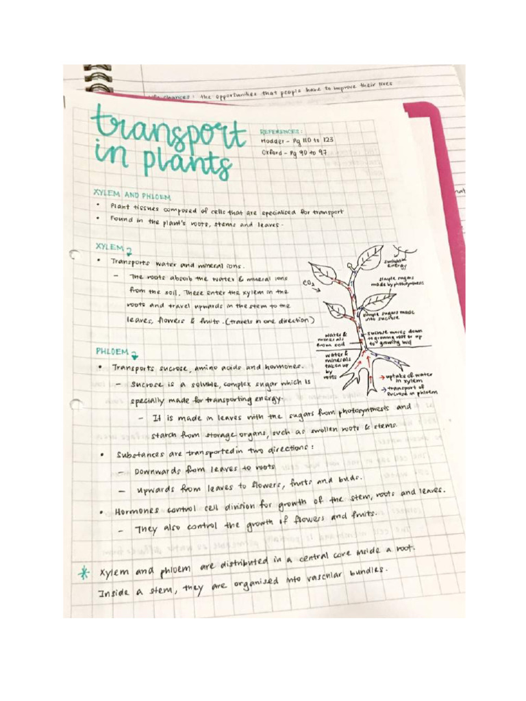 Biology 3 | PDF