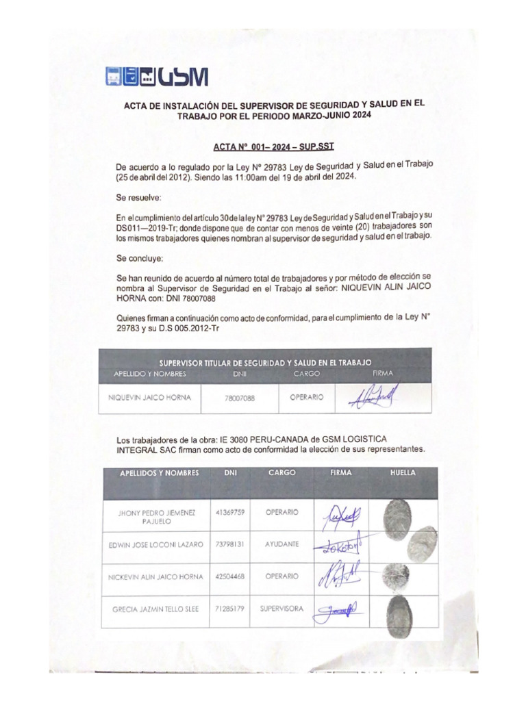 ACTA DE INSTALACIÓN DEL SUPERVISOR DE SEGURIDAD Y SALUD EN EL | PDF