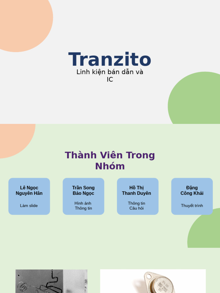 Tran Zito | PDF