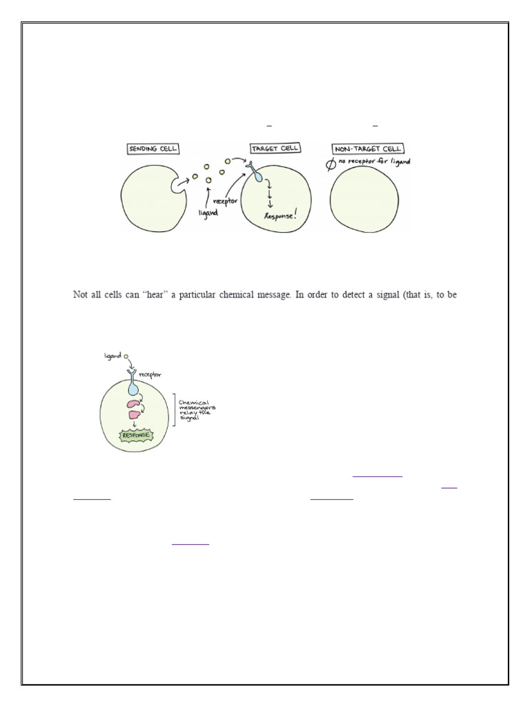 U4 - Signal Transduction | PDF | Cell Signaling | Signal Transduction