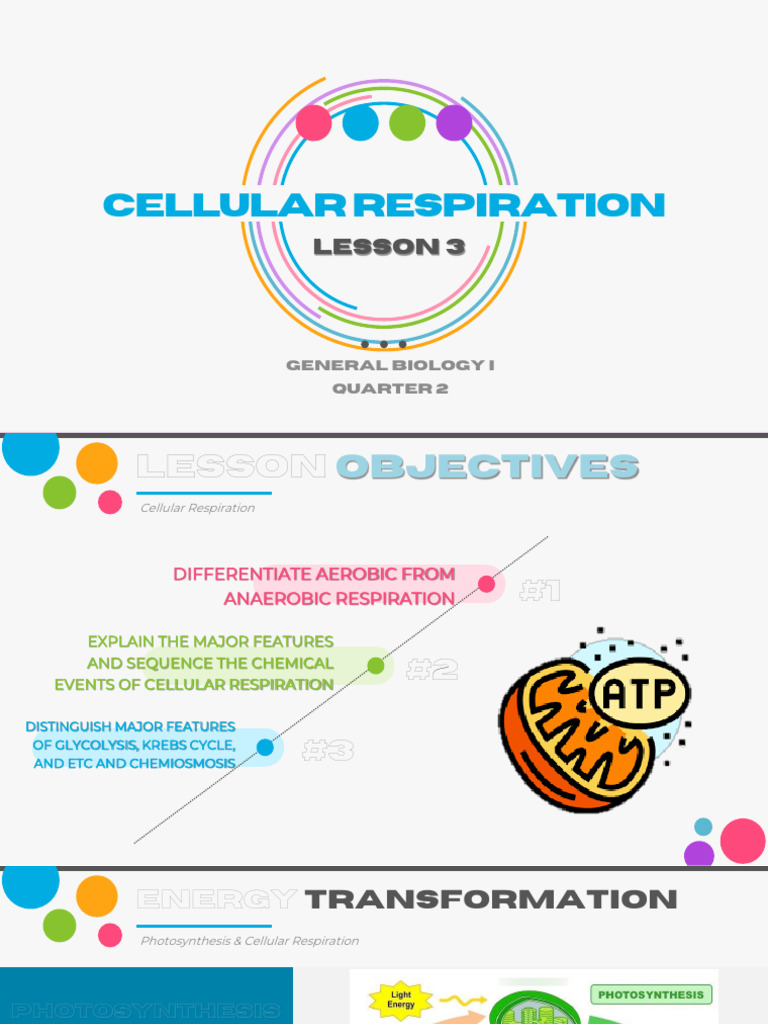 Q2 L3 CELLULAR RESPIRATION (Glycolysis, Krebs Cycle, Oxidative ...