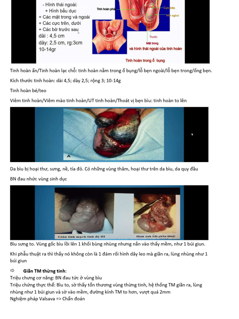 Giãn TM TH NG Tinh | PDF