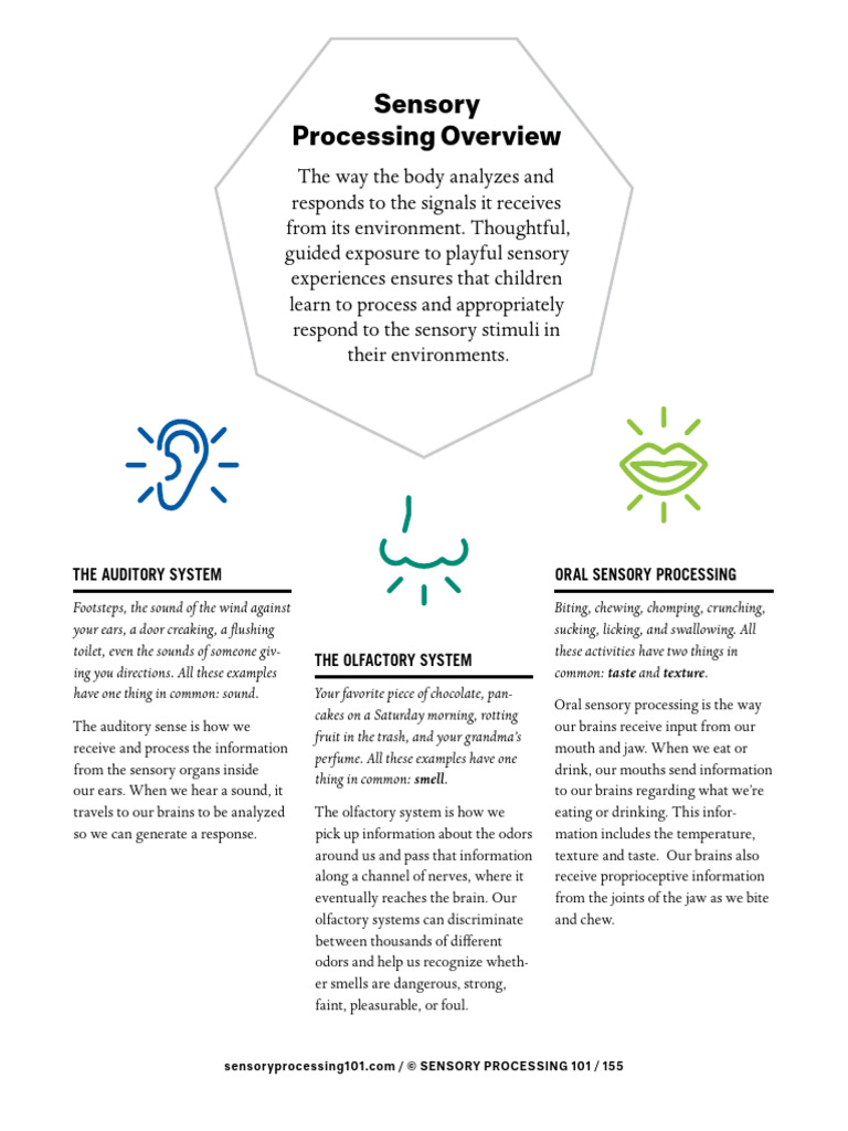 Sensory-Processing-Overview-Cheat-Sheet | PDF | Senses | Somatosensory ...