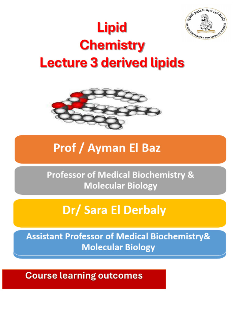 Derived Lipids | PDF | Adrenal Gland | Lipid