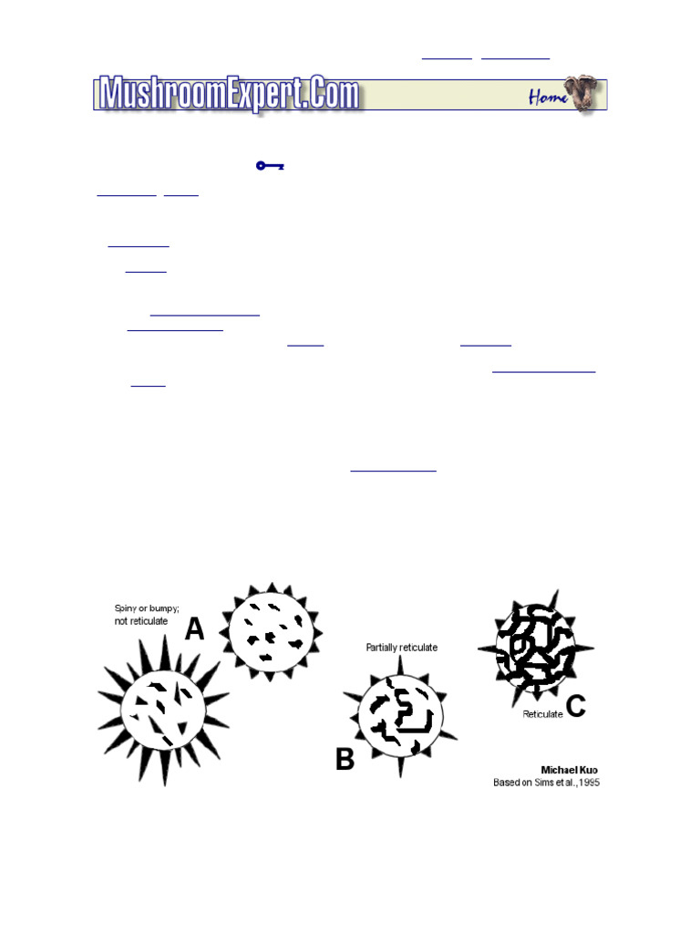 The Genus Scleroderma (MushroomExpert | PDF | Species | Mycology