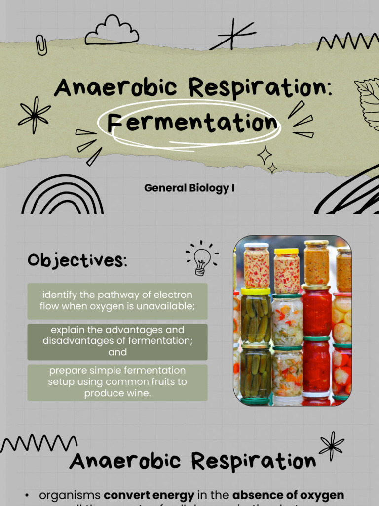 Q2 L4 Anaerobic Respiration - Fermentation | PDF | Fermentation ...