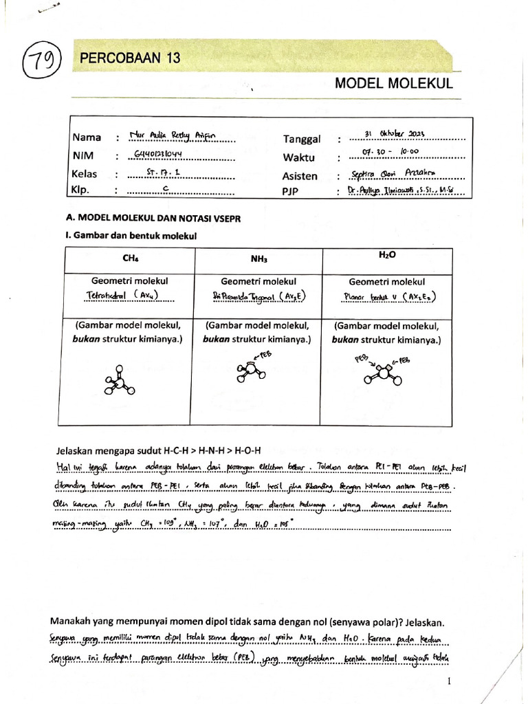 Laprak 13 Model Molekul | PDF