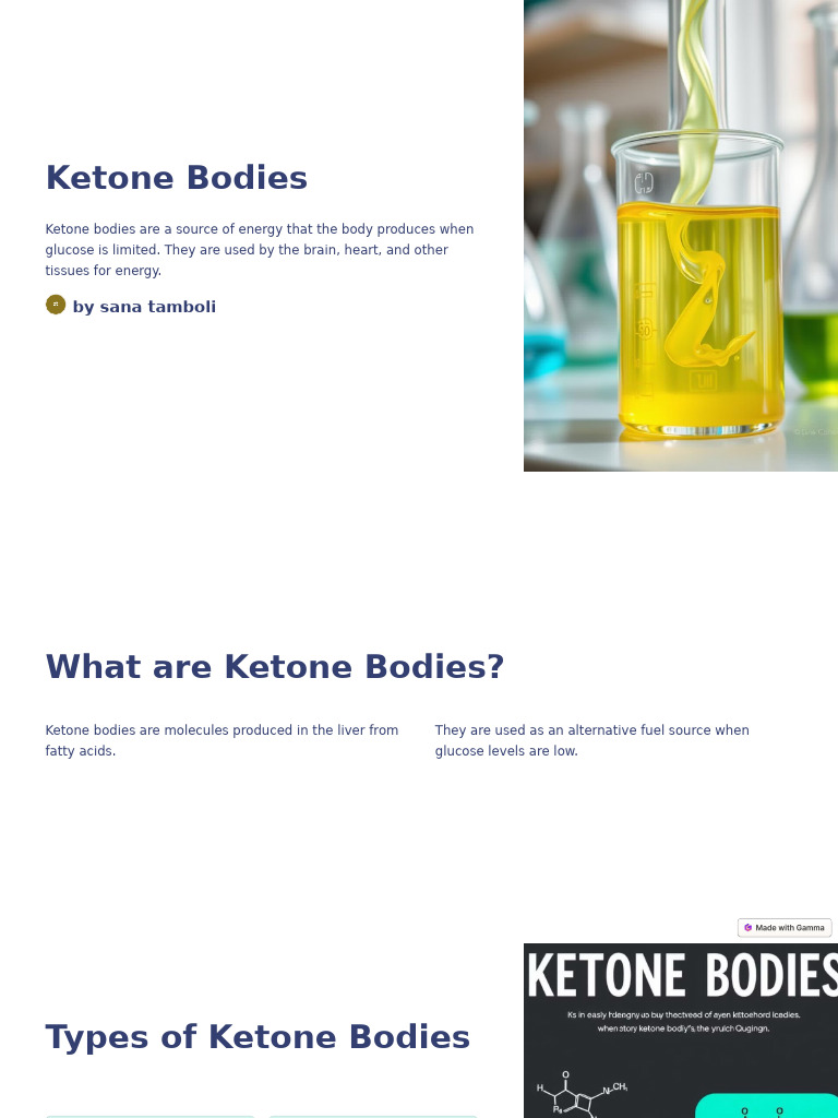 Ketone Bodies | PDF