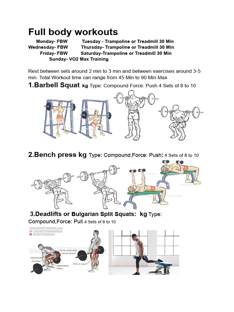 My Full Body Workouts Share | PDF