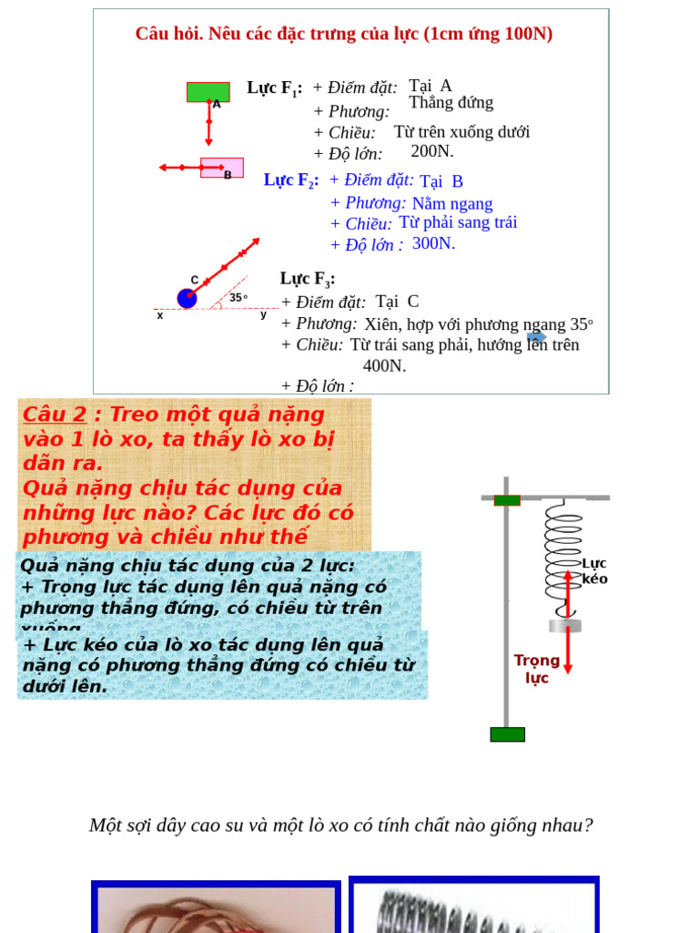 KNTT Bai 42 Bien Dang Cua Lo Xo | PDF