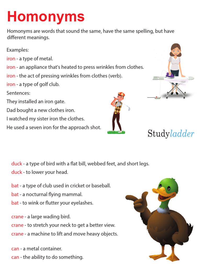 Studyladder+ +homonyms | PDF