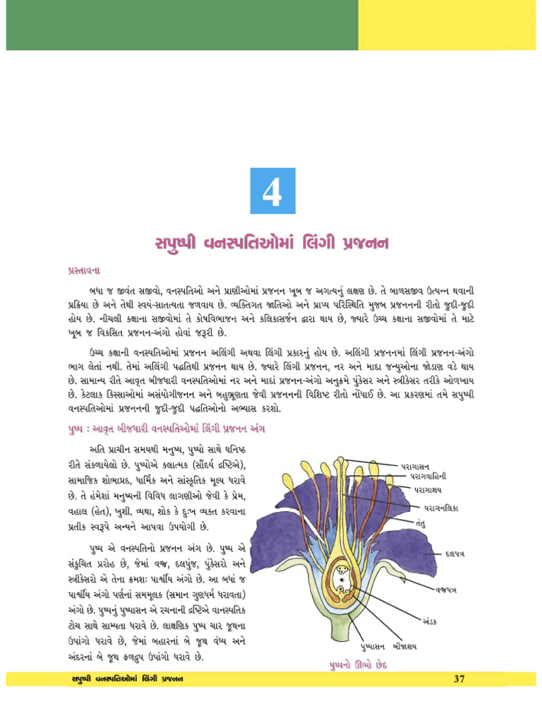 Chapter-4 - Sapushpi Vanaspatio Ma Lingi Prajanan | PDF