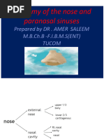 Sinuses Positioning Chart | PDF | Skull | Human Nose