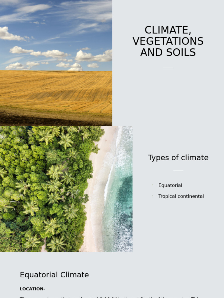 Climate Vegetation and Soils | PDF | Soil | Earth Sciences