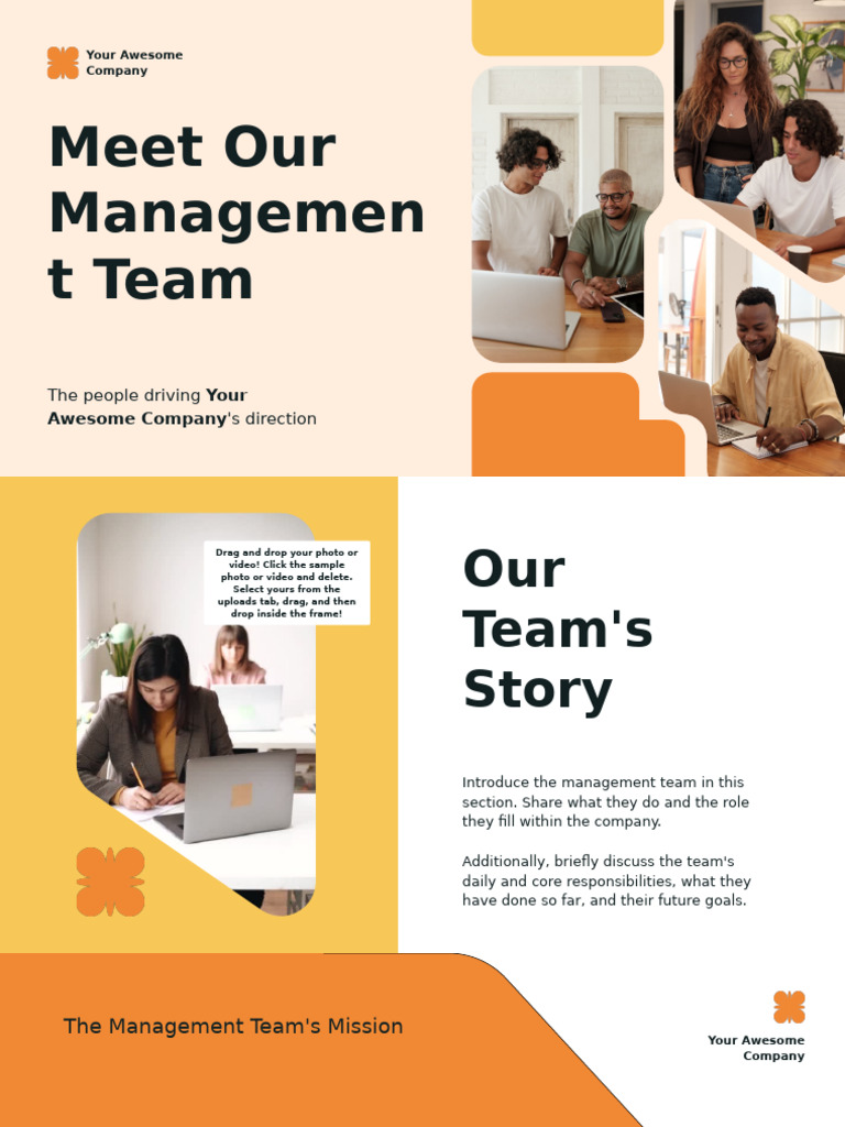 Meet The Management Team Presentation | PDF | Computing | Software