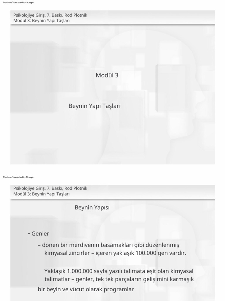 3 Beynin Yapi Taslari | PDF