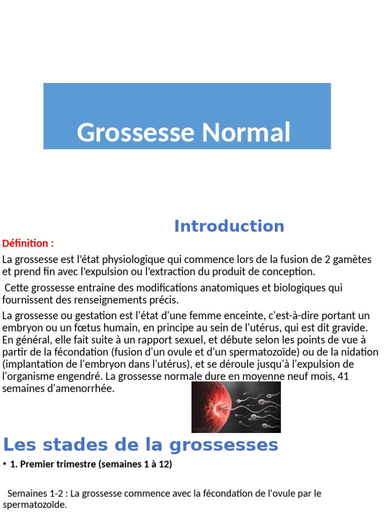 Grossesse Normal | PDF | Grossesse | Embryon