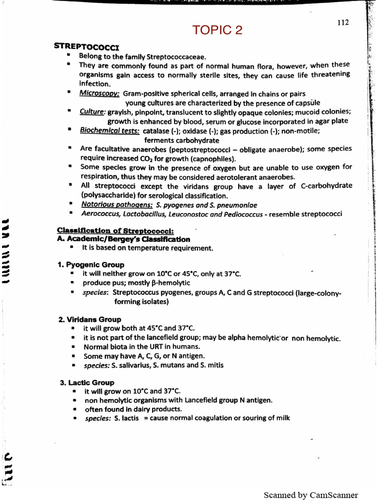 Rodriguez Bacteriology Overview | PDF
