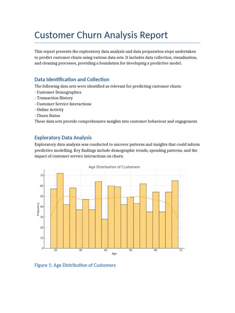 Customer Churn Analysis Report | PDF