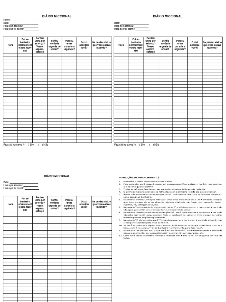 Diário Miccional 2024_Final.xlsx - Planilhas Google(1) | PDF | Reflexos