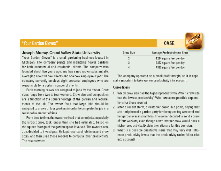 Case 1 Productivity | PDF