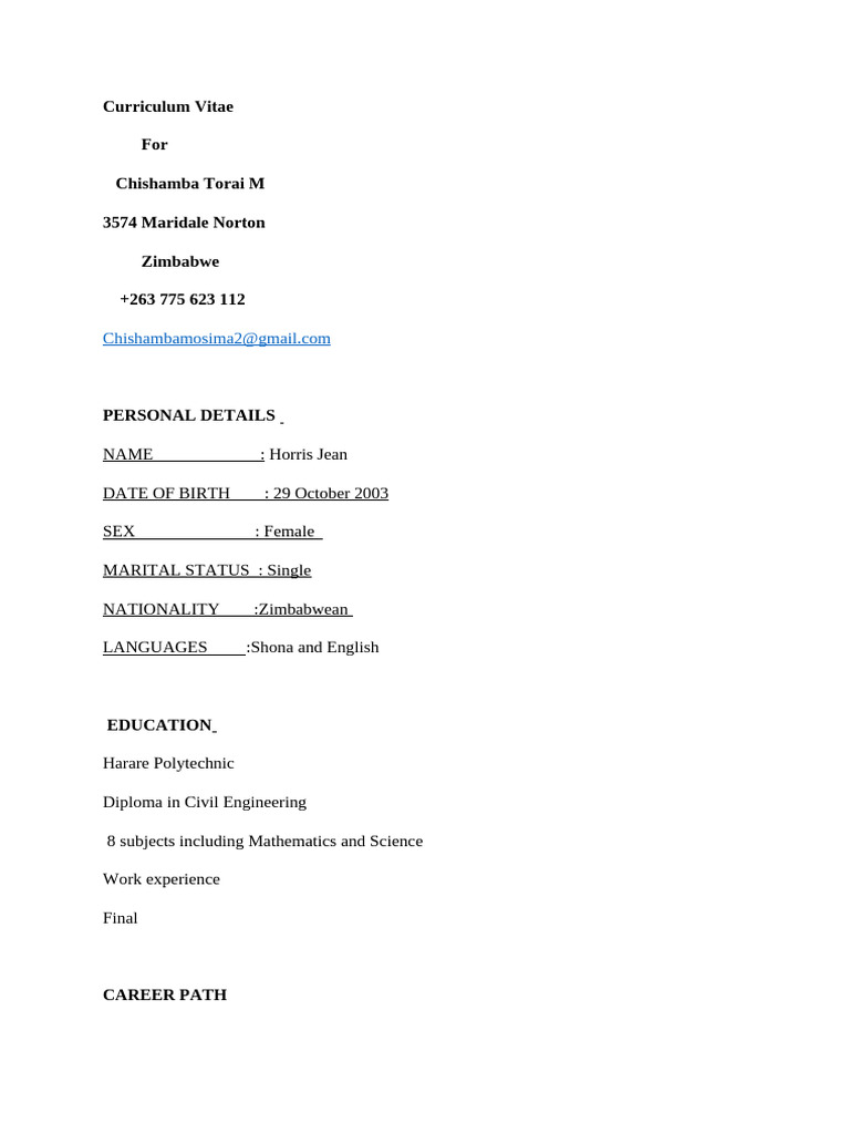 Chishamba Torai M's CV: Civil Engineer | PDF