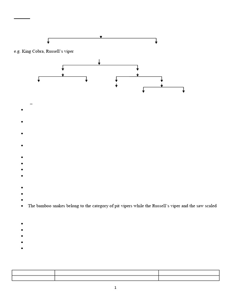Snake Classification and Venom Effects | PDF | Snake | Venomous Snakes