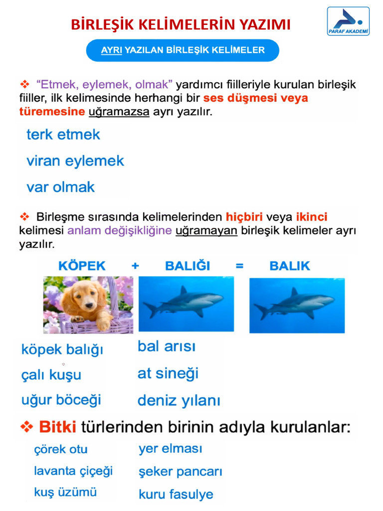 Ayri Yazilan Birlesik Kelimeler | PDF