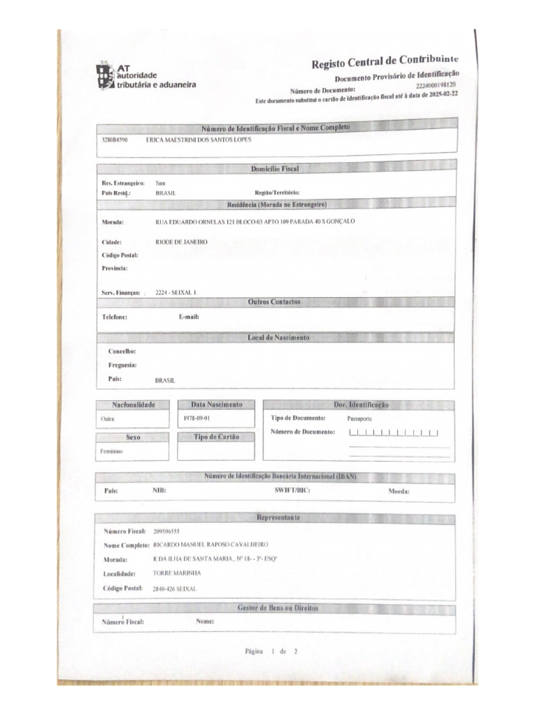 Registo Central de Contribuinte | PDF
