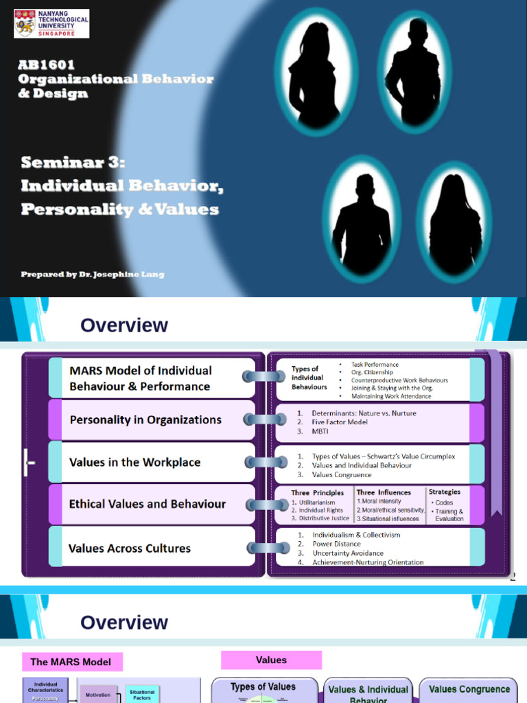 Seminar 3 Individual Behavior | PDF | Morality | Behavior