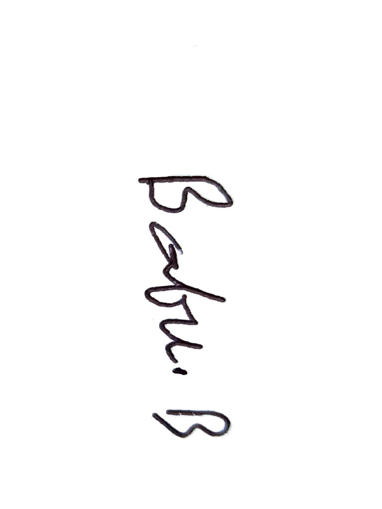Babu Sign | PDF