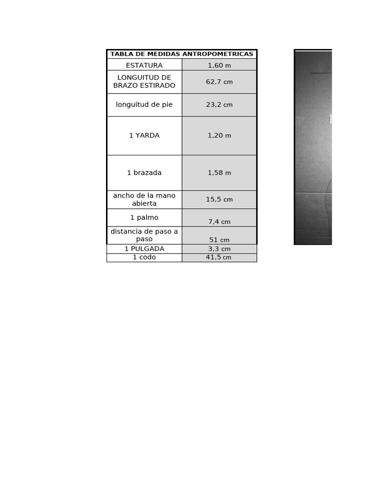Medidas Antropometricas | PDF