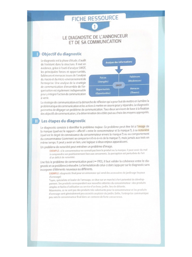 Chapitre 4 Formuler Un Diagnostic Structuré | PDF