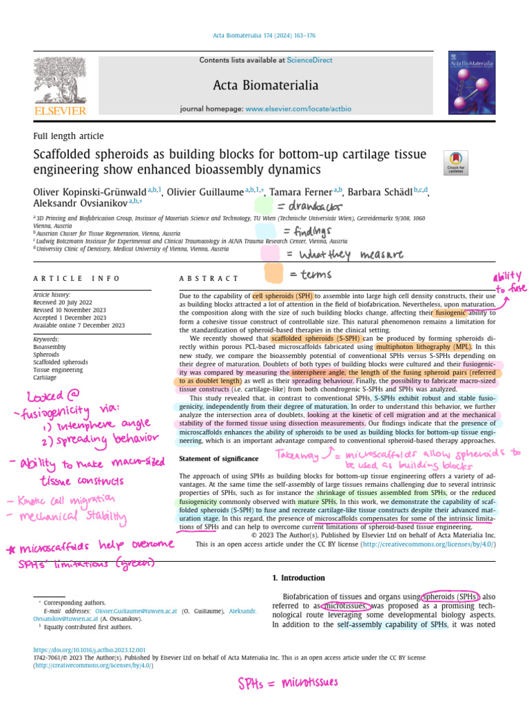Scaffolded Spheroids As Building Blocks For Bottom-Up Cartilage Tissue ...