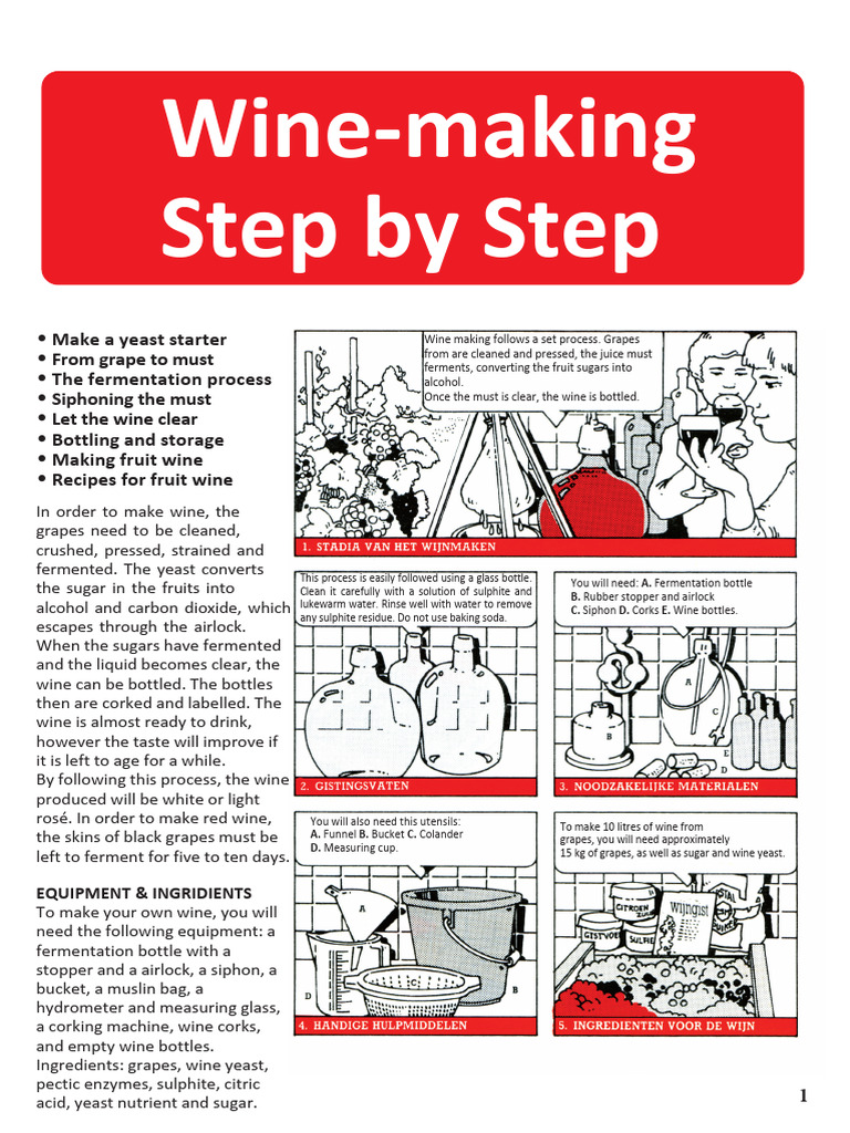 Step-by-Step Wine Making Guide | PDF | Winemaking | Wine