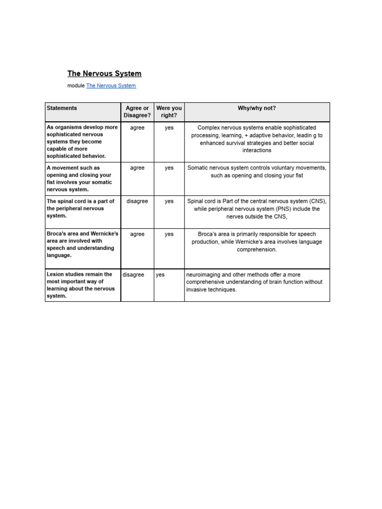 The Nervous System | PDF