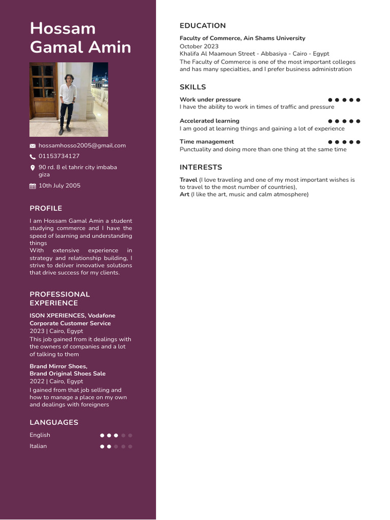 Hossam Gamal Amin FlowCV Resume 20240126 | PDF