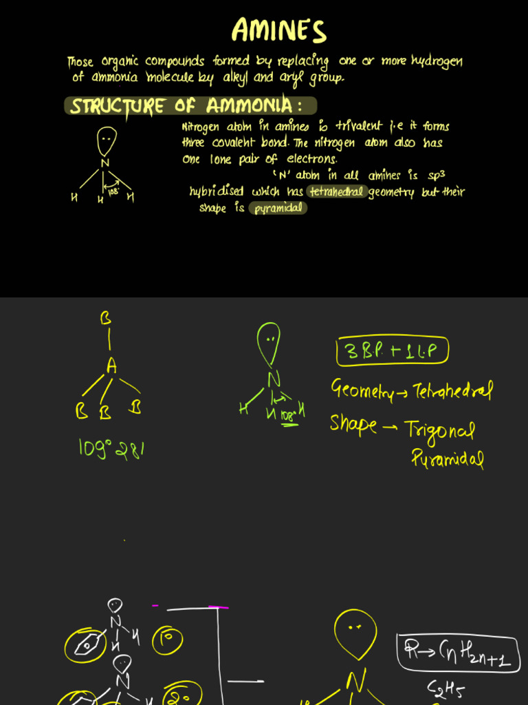 Amines One Shot by BP Sir | PDF