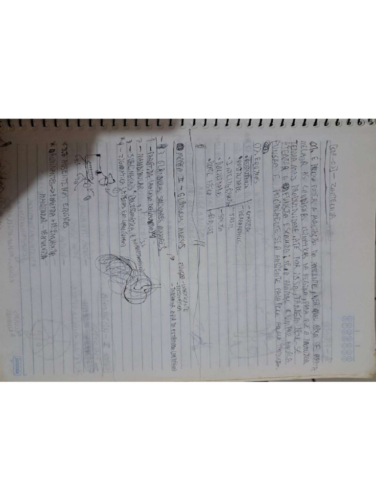 Resumo Morfo II - Glândulas Anexas | PDF