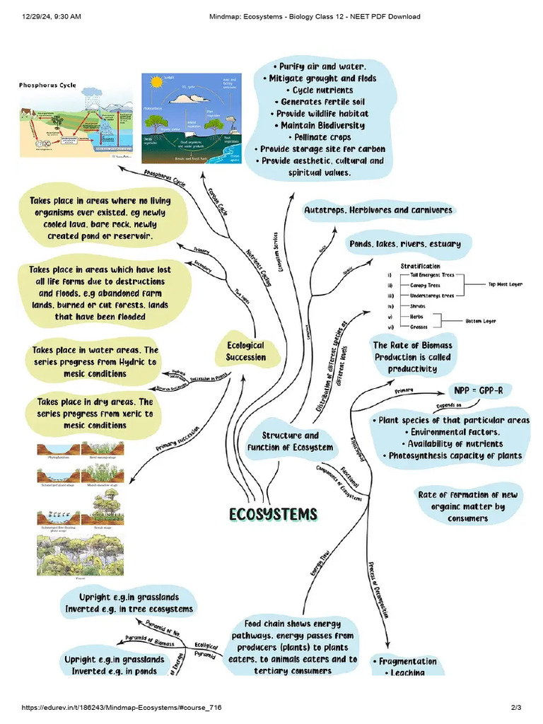 Mindmap - Ecosystems - Biology Class 12 - NEET PDF Download | PDF
