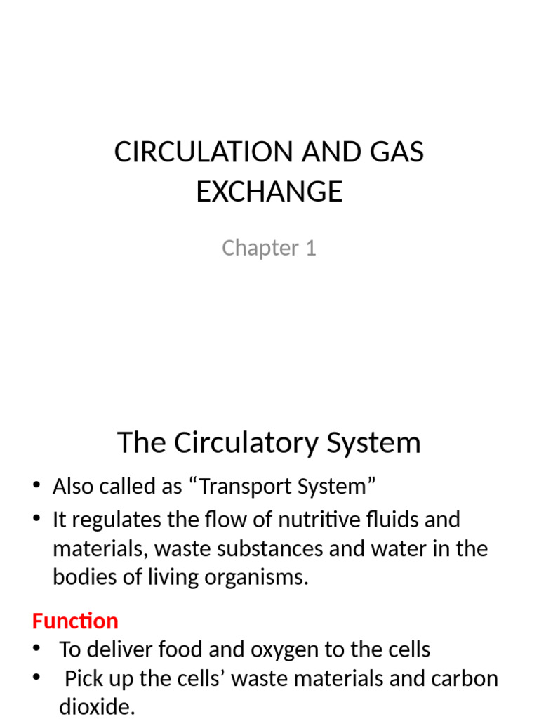 Circulation and Gas Exchange | PDF | Heart | Respiratory System