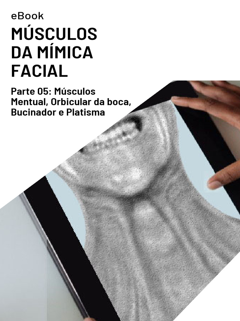 Musculos Da Mimica Facial Musculos Mentual Orbicular Da Boca Bucinador ...