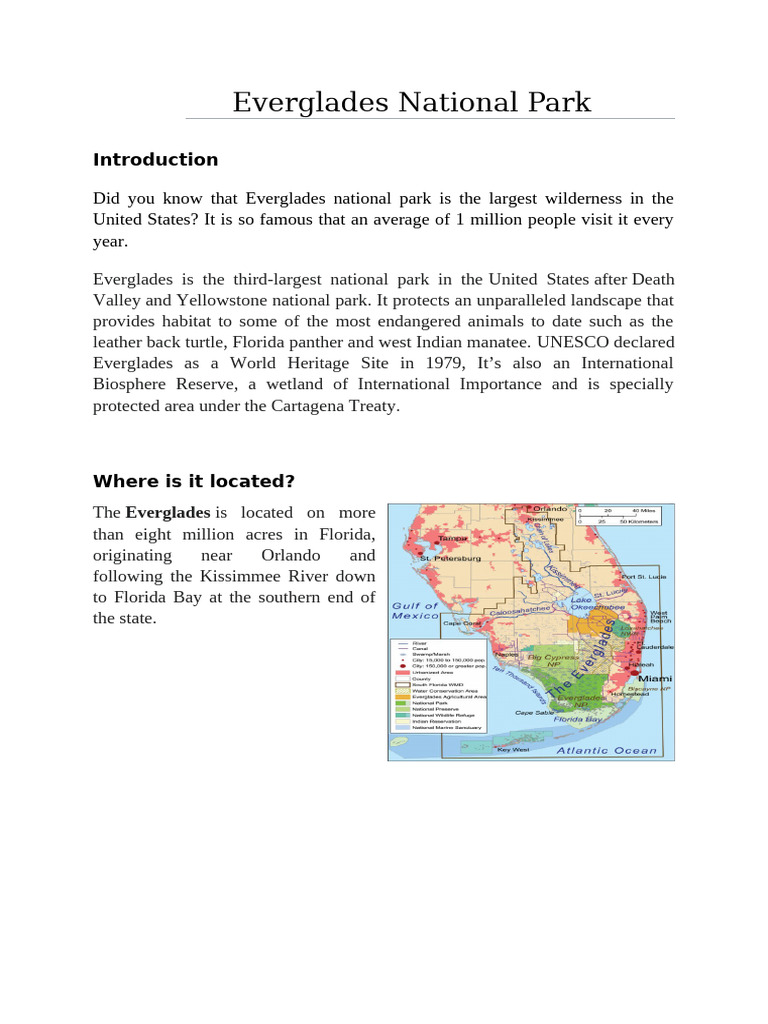 Everglades National Park - My Action Plan | PDF | Everglades | Natural ...