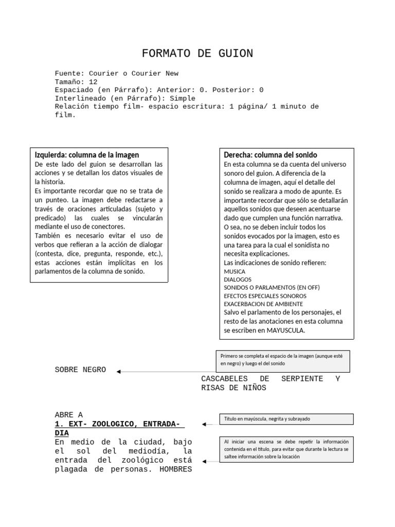 FORMATO DE GUION | PDF