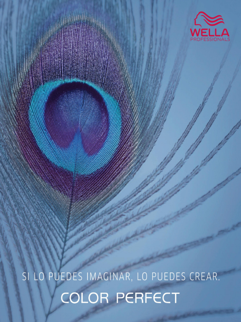 CATÁLOGO COLOR PERFECT | PDF