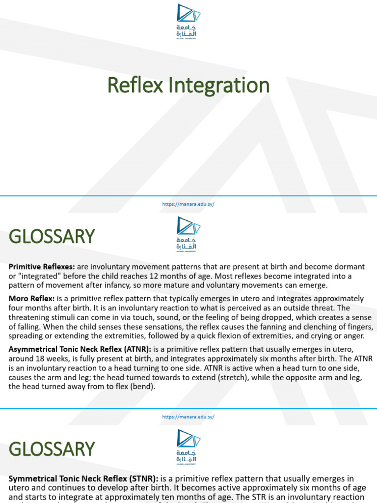 Reflex Integration | PDF | Perception | Senses