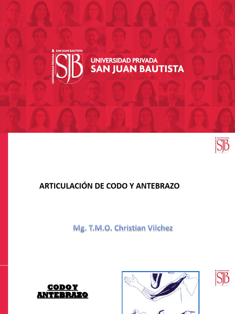 CLASE 7 (3) | PDF | Codo | Sistema musculoesquelético