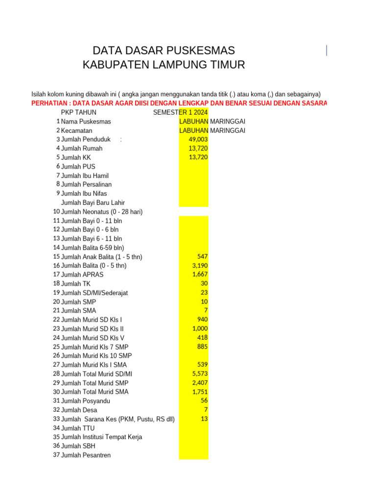Data Dasar 2024 | PDF