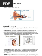 Anatomia de La Audicion | PDF | Hueso | Membrana mucosa